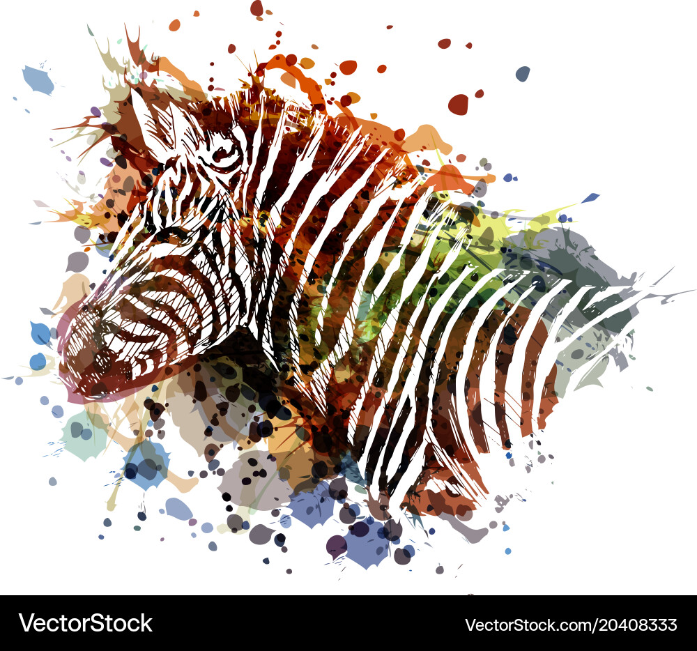 Zebra Pattern Splash Royalty Free Vector Image