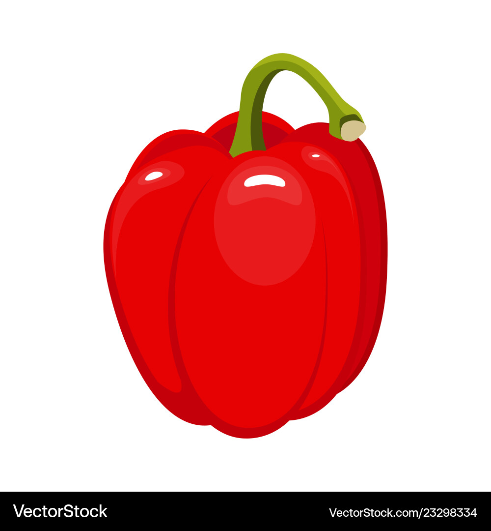 Pepper design Royalty Free Vector Image - VectorStock