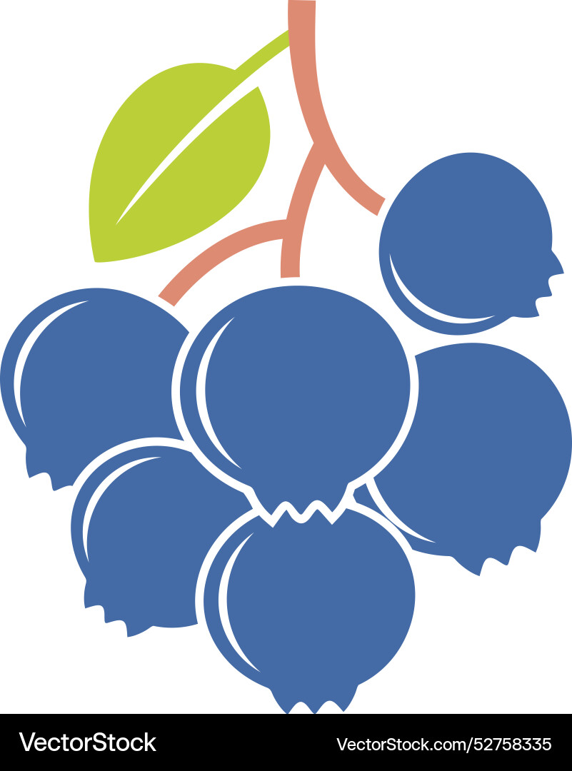 Blueberry Royalty Free Vector Image - VectorStock