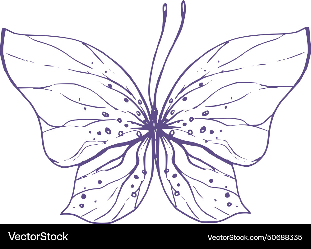 Delicate butterfly with patterns on the wings Vector Image
