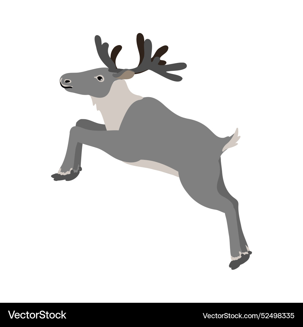 Drawing reindeer caribou Royalty Free Vector Image