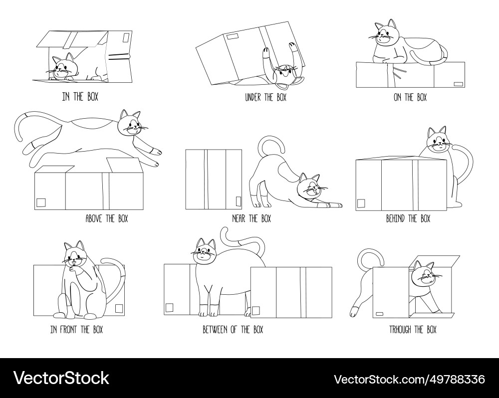 Learning positions in space educational visual Vector Image