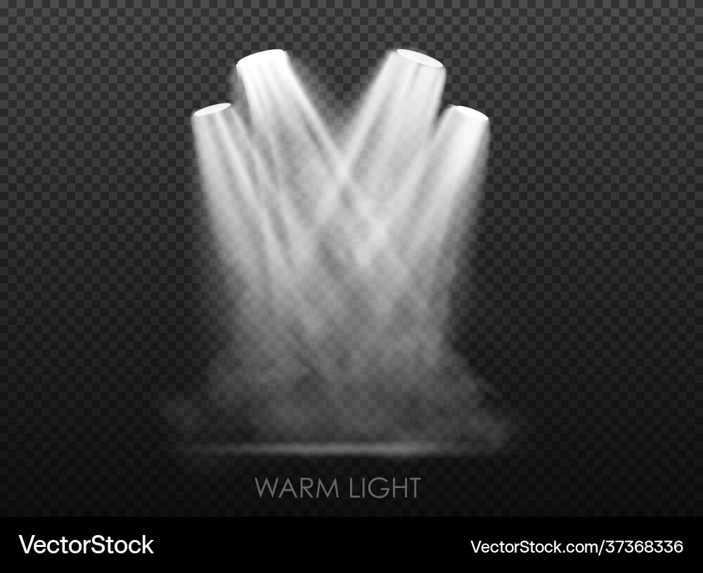 Warm light set bulb on a transparent background Vector Image