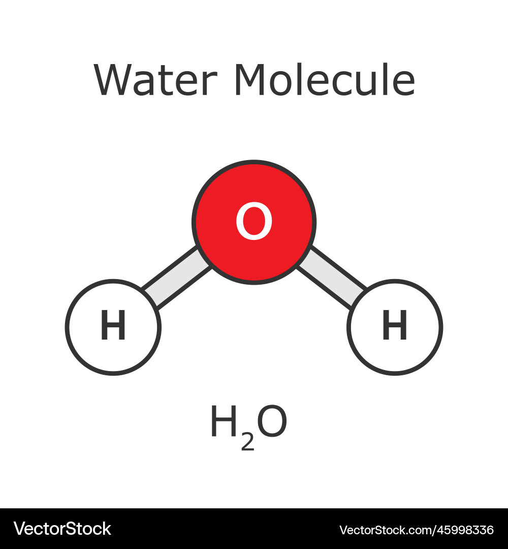 Water molecule structure atomic h2o Royalty Free Vector