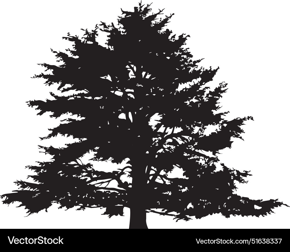 Black and white lebanon cedar tree Royalty Free Vector Image