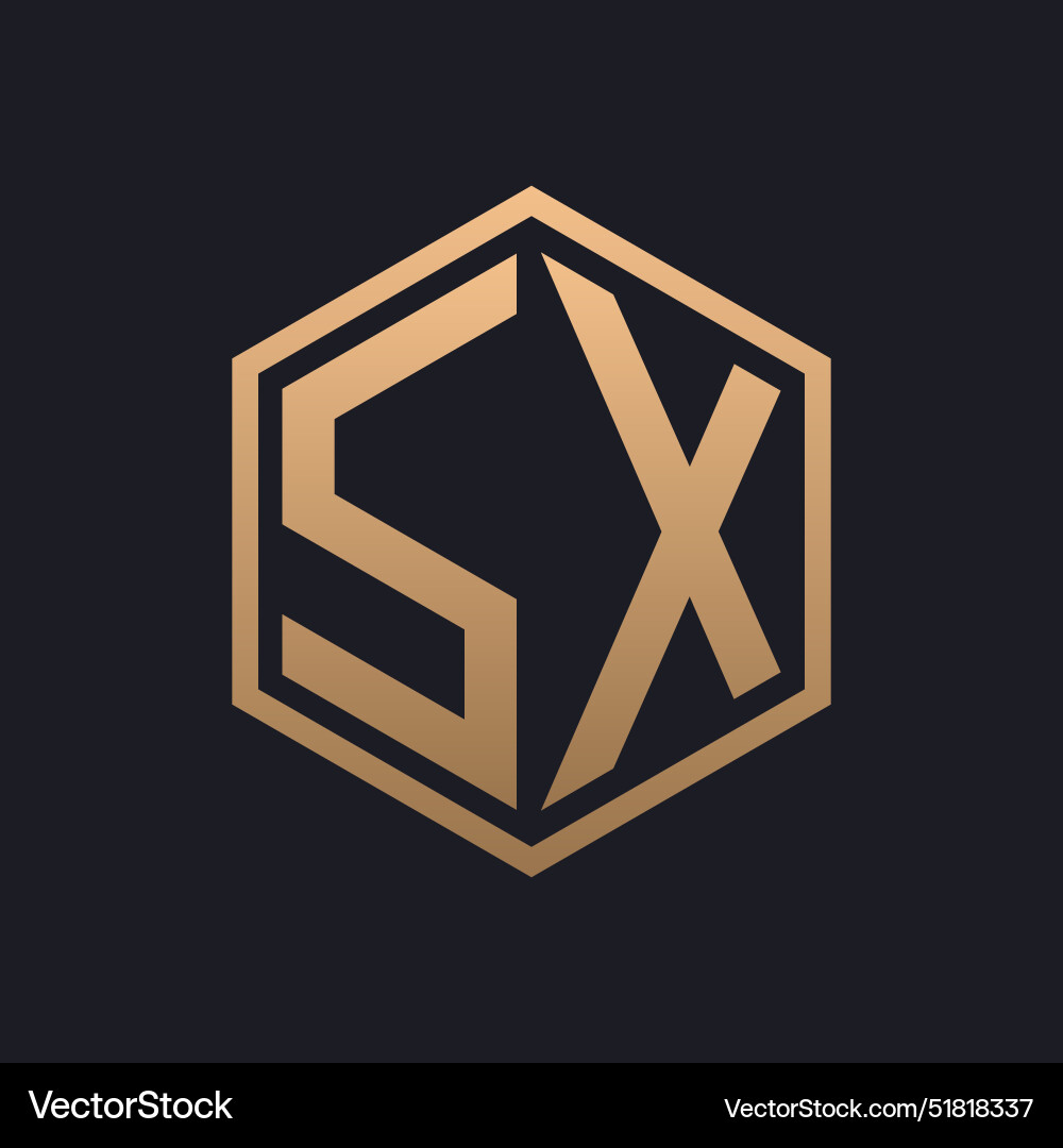 Elegant hexagon letter sx logo design initial Vector Image