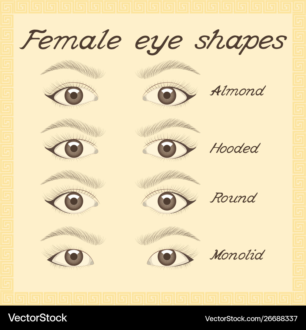 Augenformen und Typen verschiedene weiblich Vektorbild