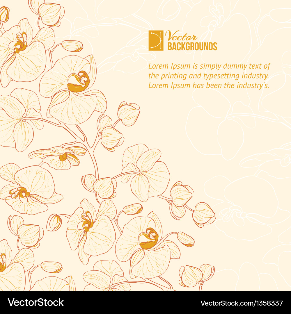 Orchid flower label Royalty Free Vector Image - VectorStock