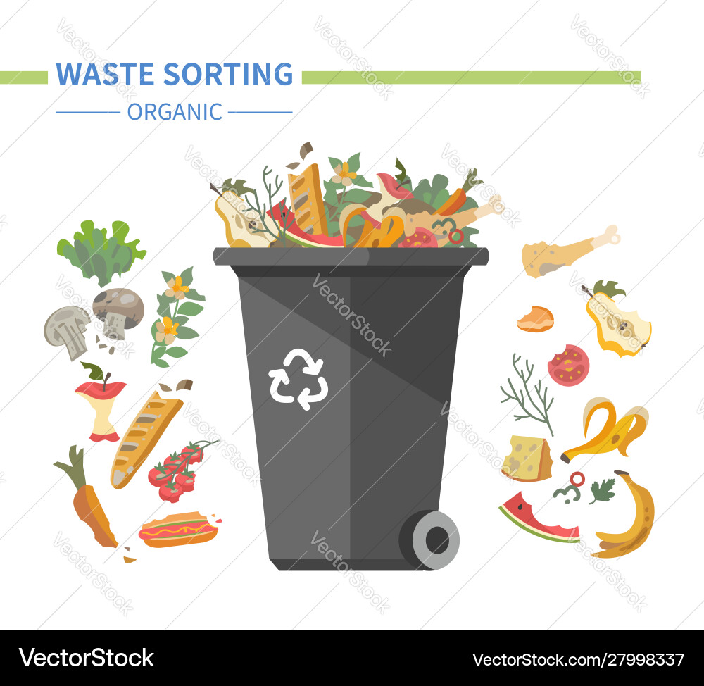Waste Sorting Poster Vector Images (over 490)