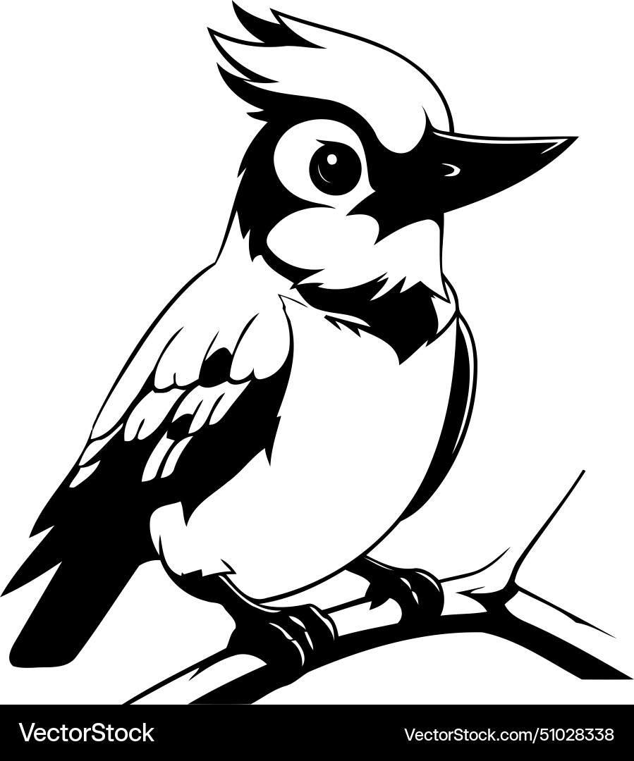 Cute blue jay bird isolated on white background Vector Image