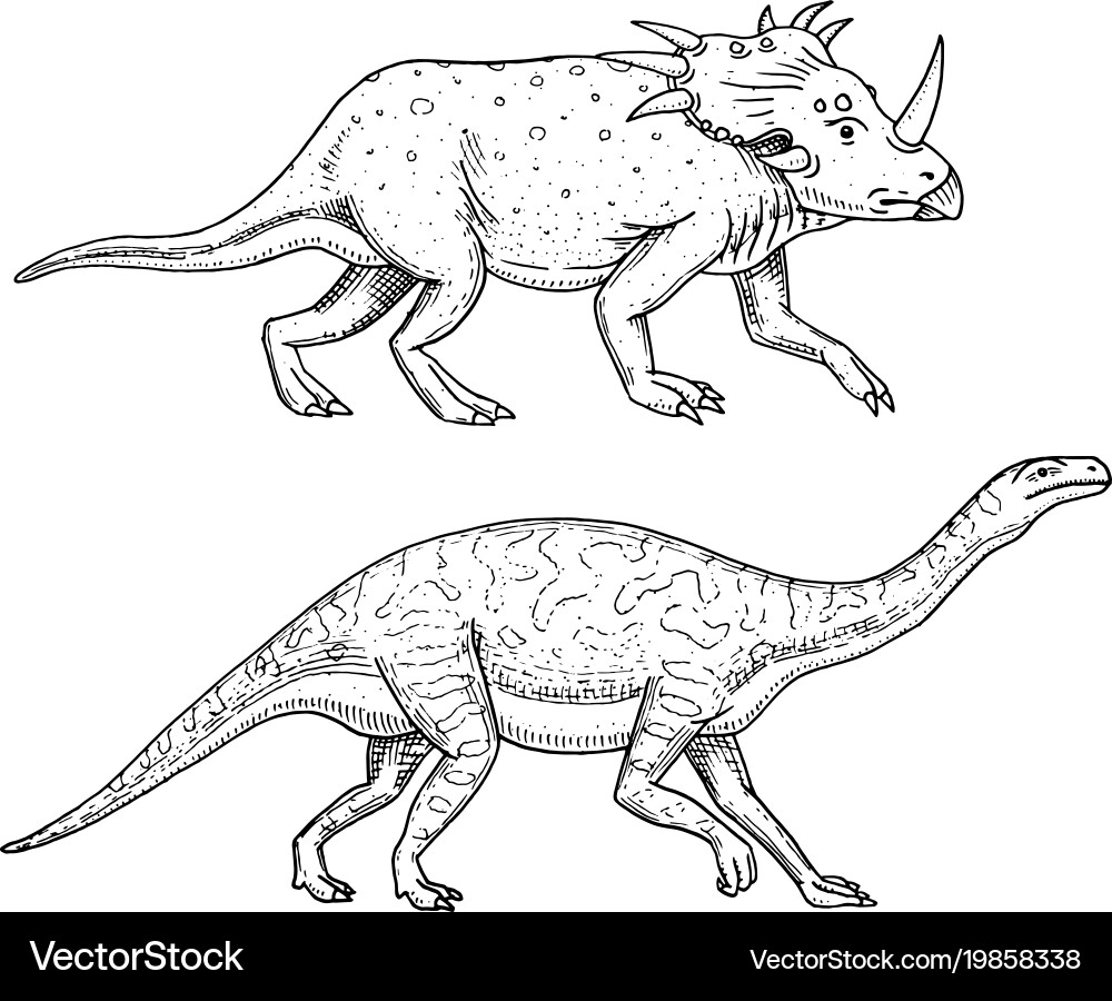 Dinosaur triceratops brontosaurus apatosaurus Vector Image