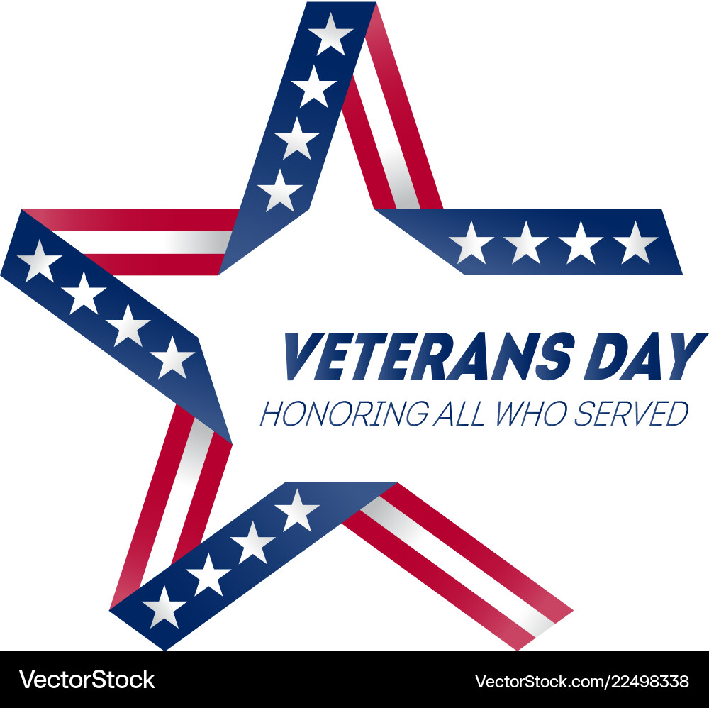 Happy veterans day november 11th united state Vector Image