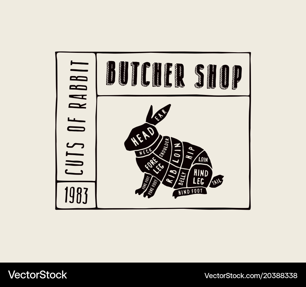 Rabbit cuts diagram Royalty Free Vector Image - VectorStock