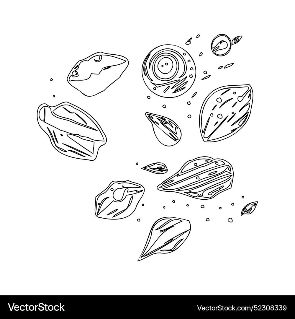 Asteroids outline sketch Royalty Free Vector Image