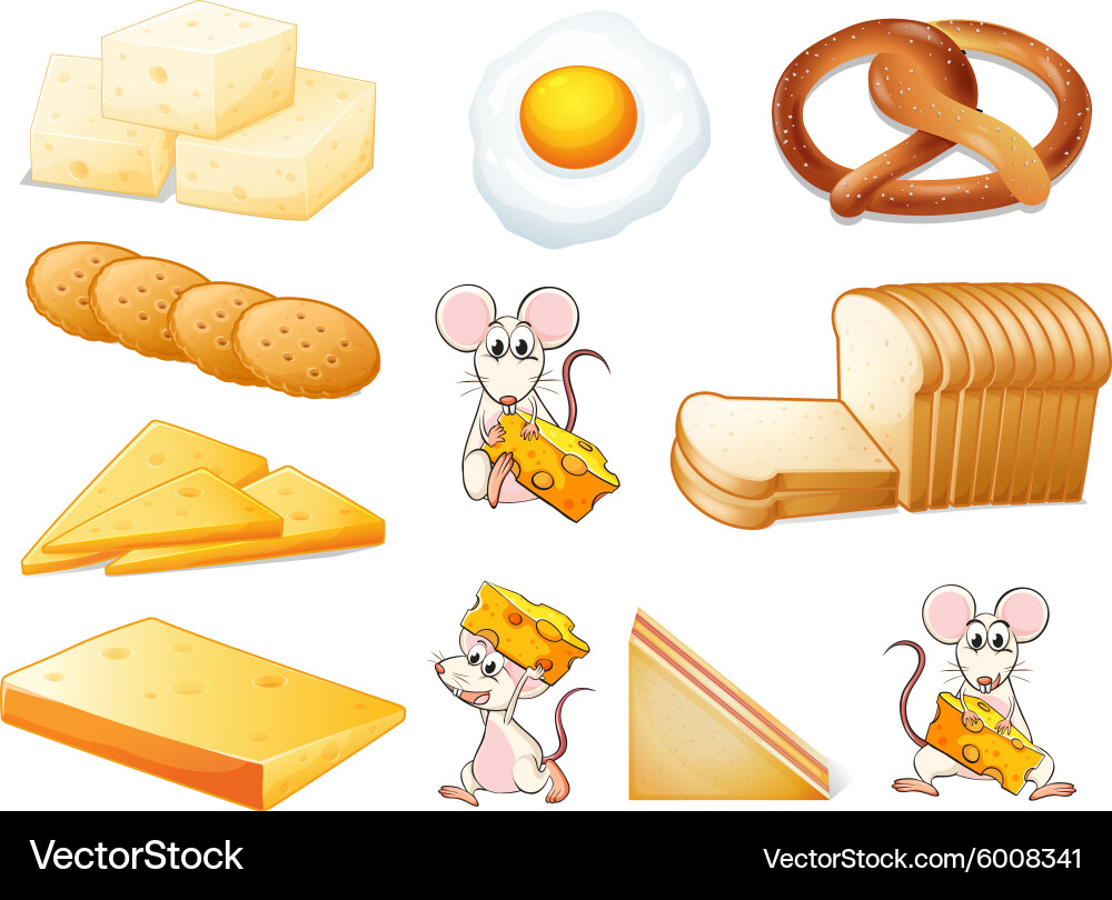 Flashcard of yellow theme Royalty Free Vector Image