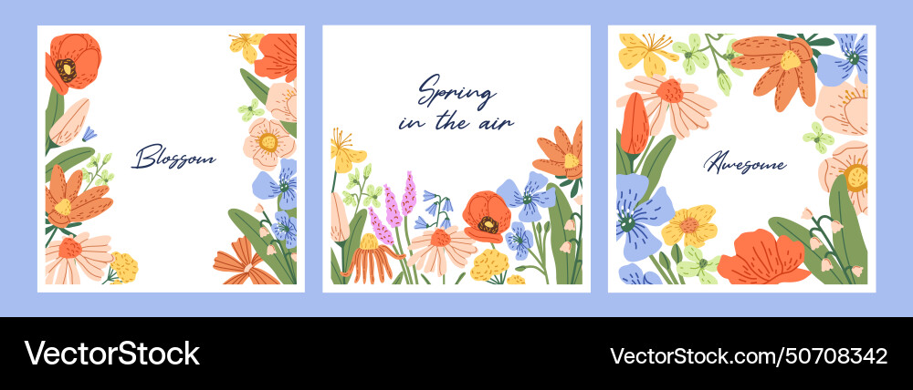 Floral postcard set blossom meadow flowers frame Vector Image