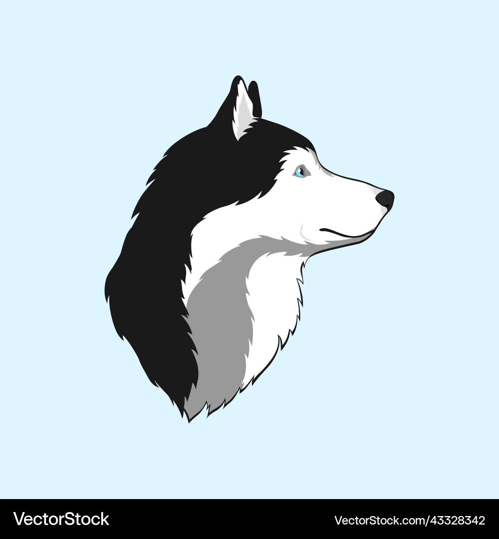Isolated beautiful alaskan husky dog one head Vector Image