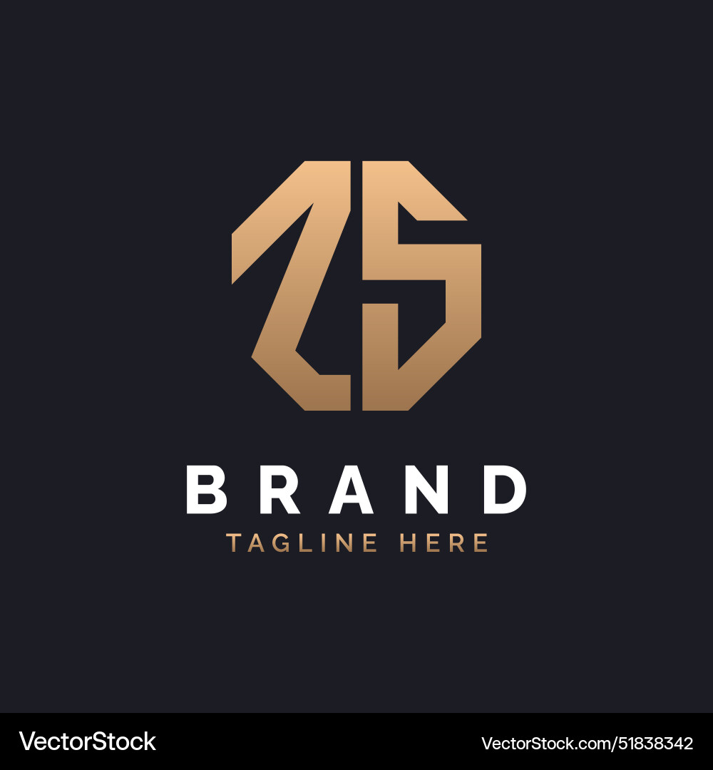 Zs logo design modern minimal elegant and luxury Vector Image