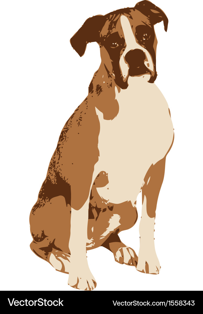Boxer dog Royalty Free Vector Image - VectorStock