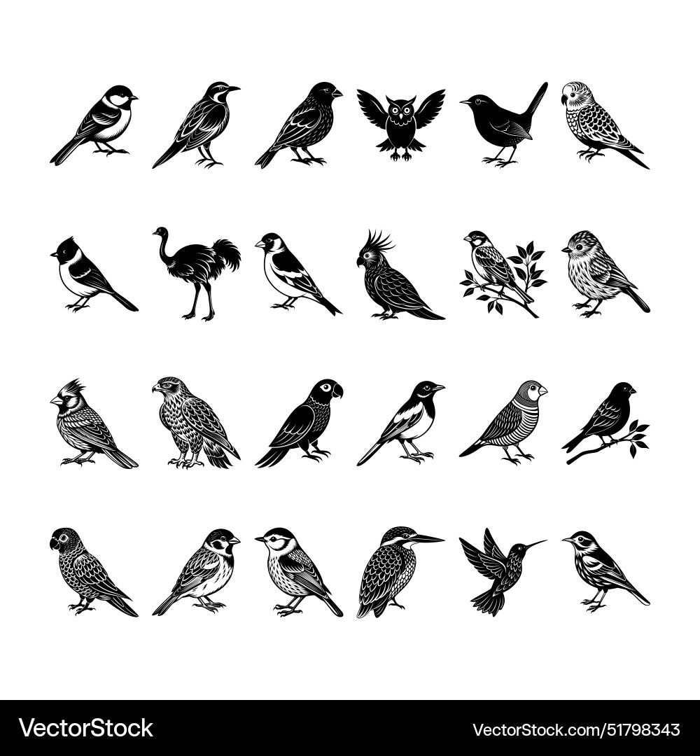 Highly detailed birds silhouettes Royalty Free Vector Image