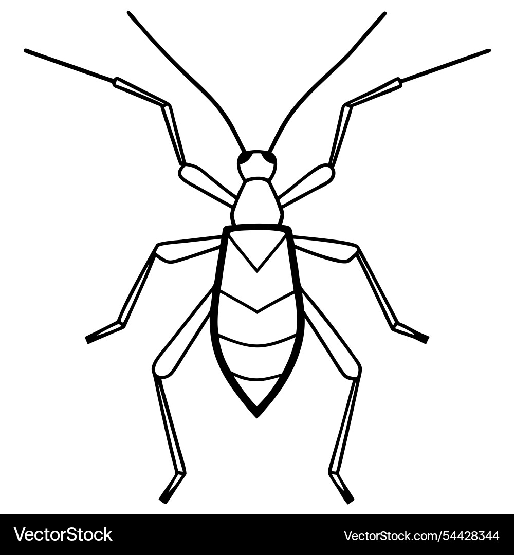 Assassin Bug Insect Flat On White Background Vector Image