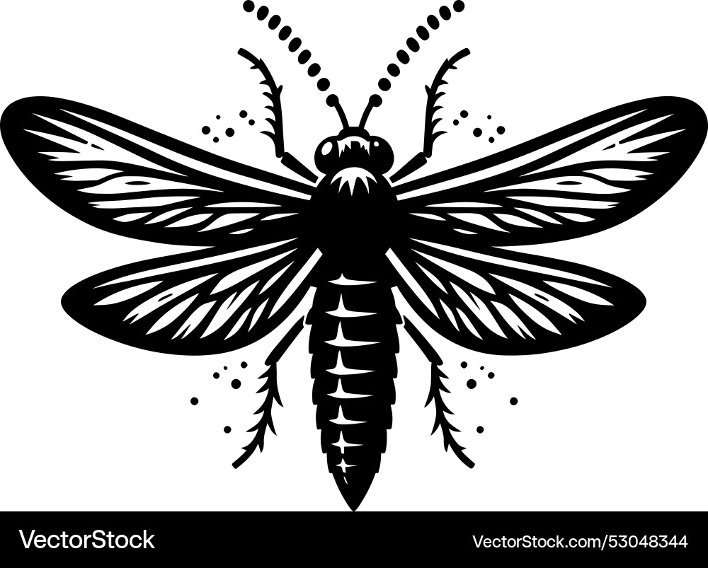Beautiful firefly insect silhouette isolated on a Vector Image