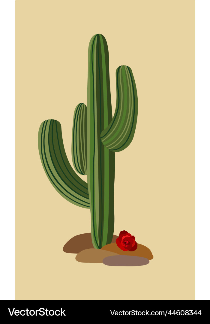 Cactus Royalty Free Vector Image - VectorStock