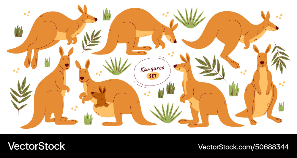 Cute kangaroo cartoon characters jumping eating Vector Image