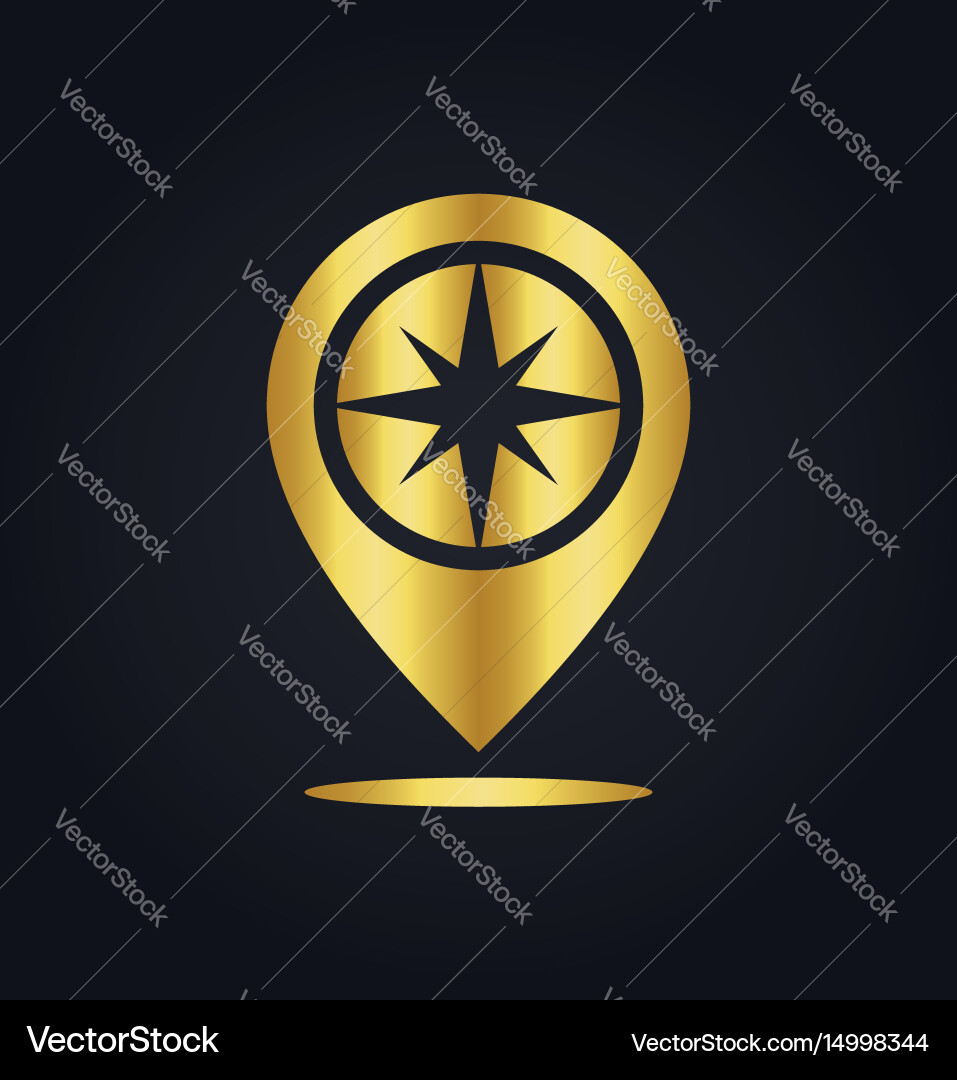 Position star gps location colored gold logo Vector Image