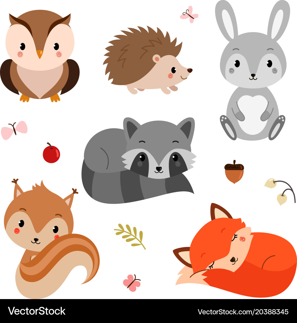 Adorable Woodland Animals Royalty Free Vector Image