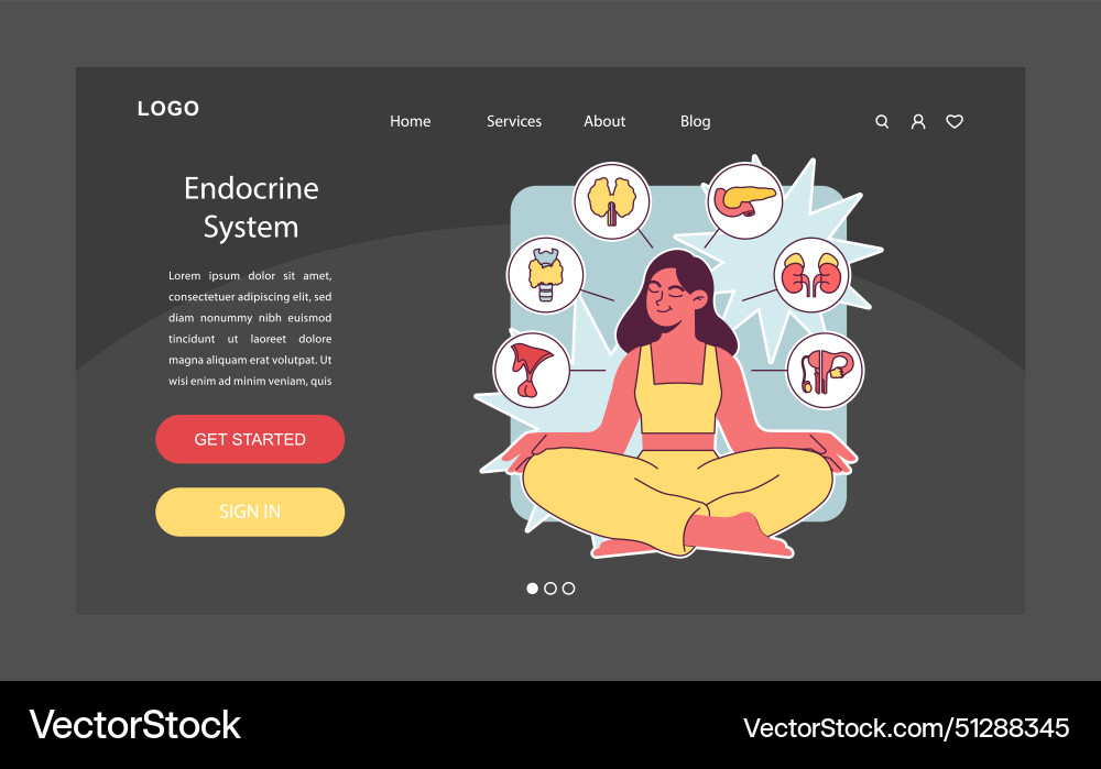 Endocrine system organs and disease human glands Vector Image