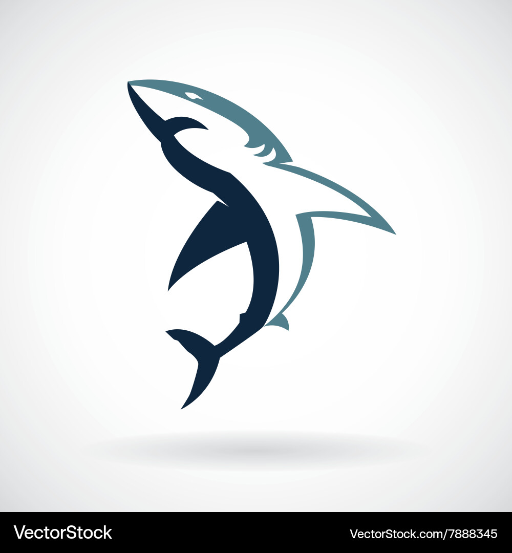 Shark logo on a white background Royalty Free Vector Image