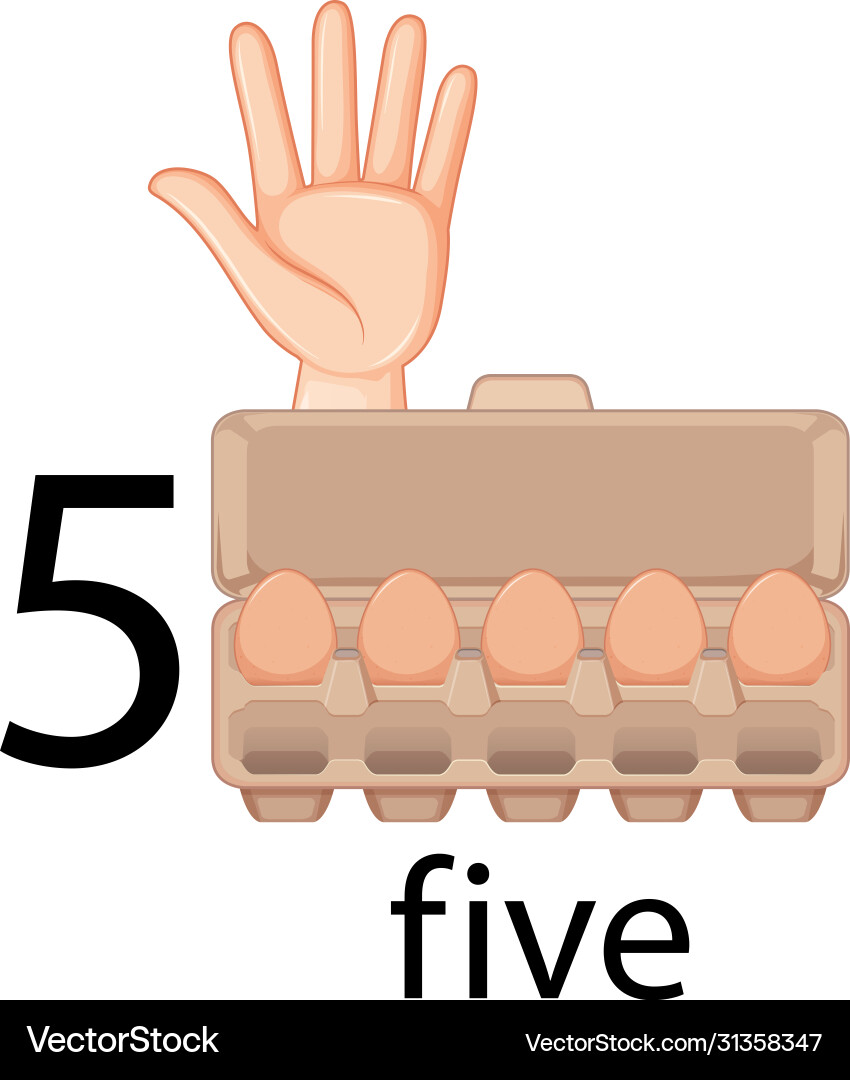 Counting number five with hand gesture and eggs Vector Image