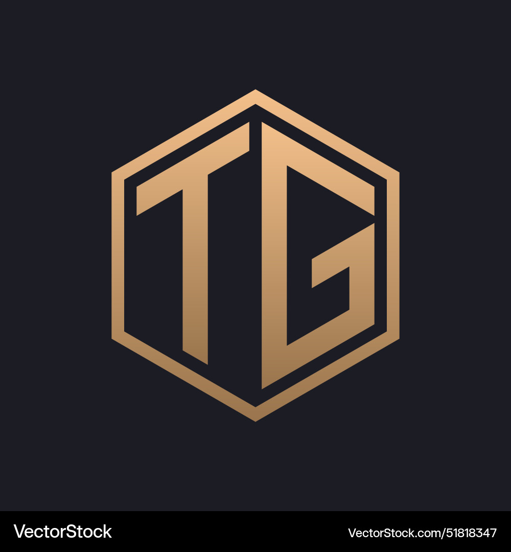 Elegant hexagon letter tg logo design initial Vector Image