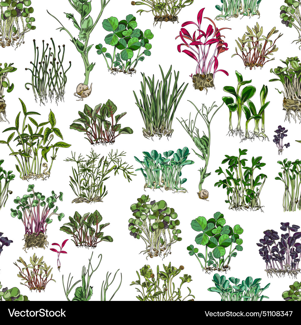 Microgreens botanical seamless pattern Royalty Free Vector