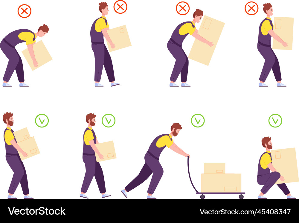 Weights handling safety ergonomic posture of back Vector Image