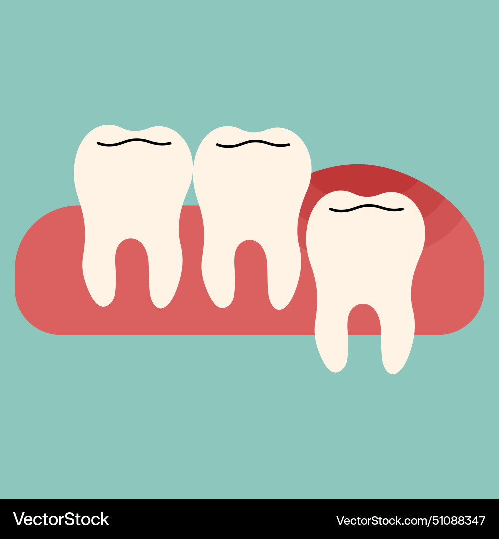 Wisdom teeth single 1 Royalty Free Vector Image