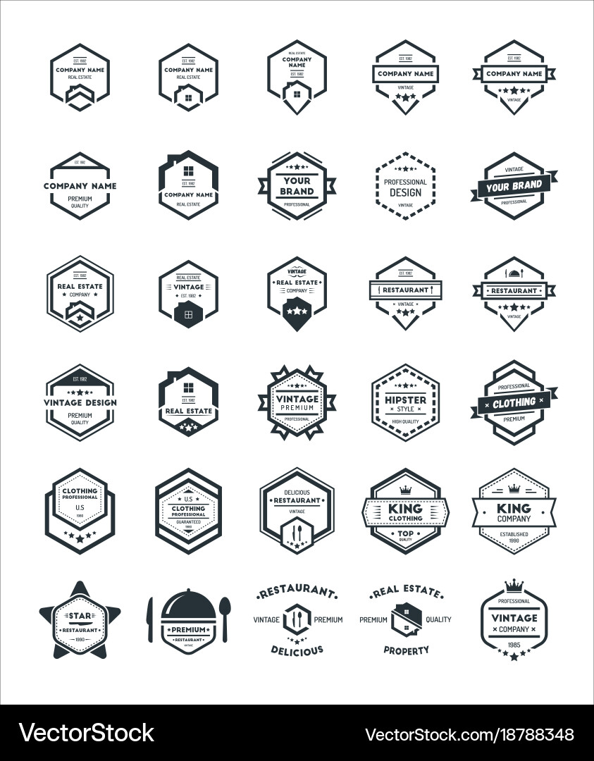 30 set of hexagon vintage hipster badge logo Vector Image