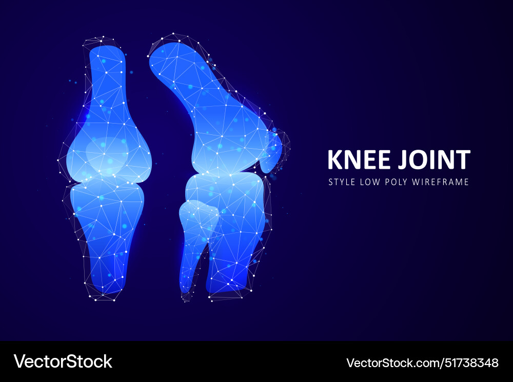 Abstract polygonal knee-joint Royalty Free Vector Image