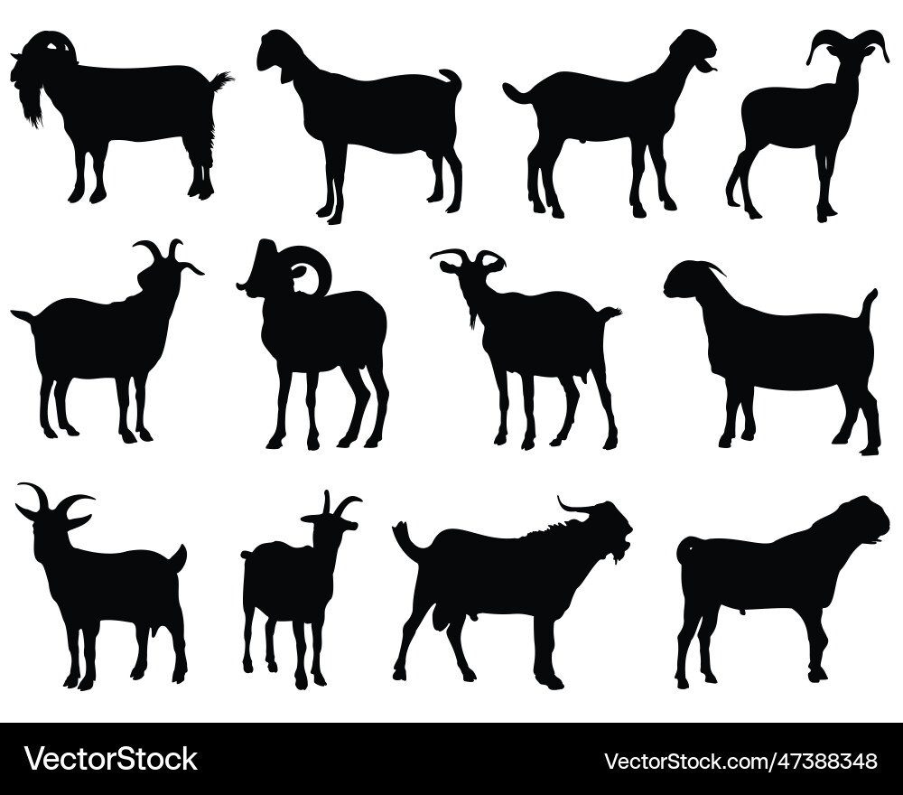 Goats silhouette bundle Royalty Free Vector Image