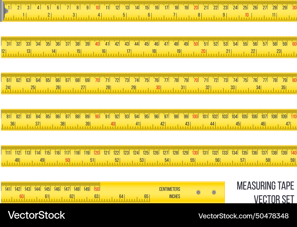 Measuring tape in centimeters and inches set Vector Image