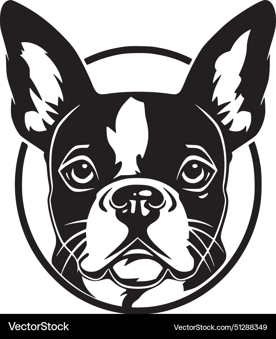 Boston terrier - high quality logo ideal Vector Image