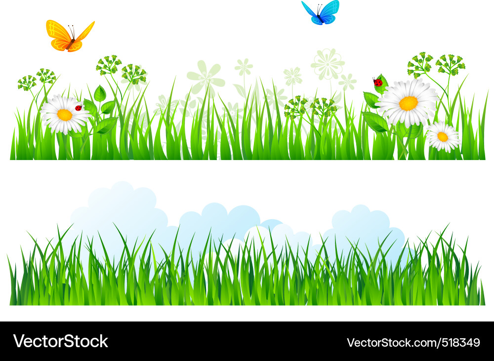 Grass border Royalty Free Vector Image - VectorStock