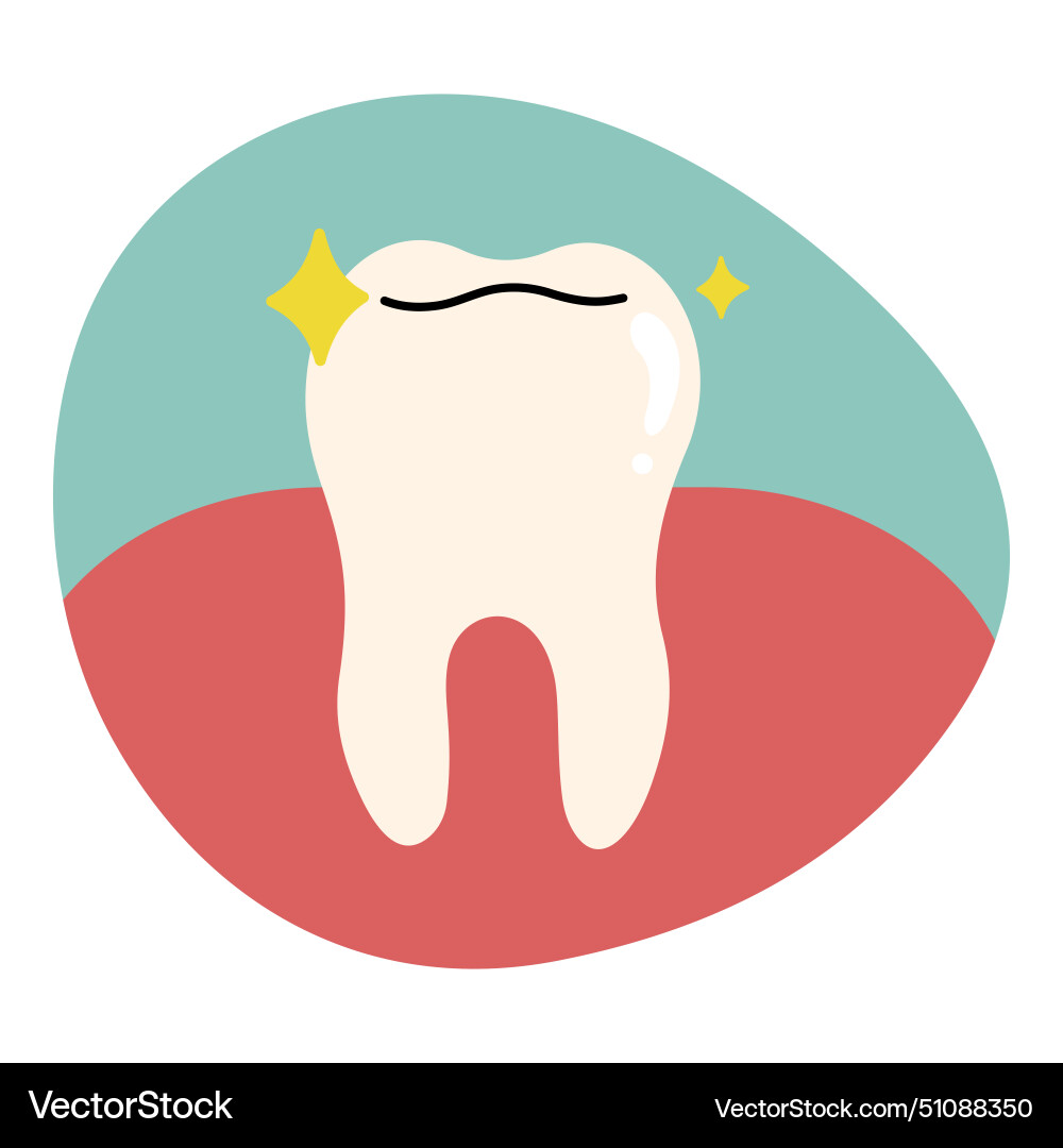 Teeth single 14 Royalty Free Vector Image - VectorStock