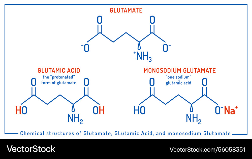 Sodium Atom Diagram Vector Images (54)