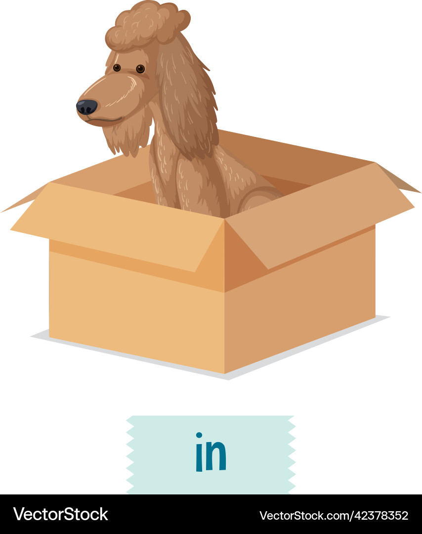 Preposition wordcard with dog in box Royalty Free Vector