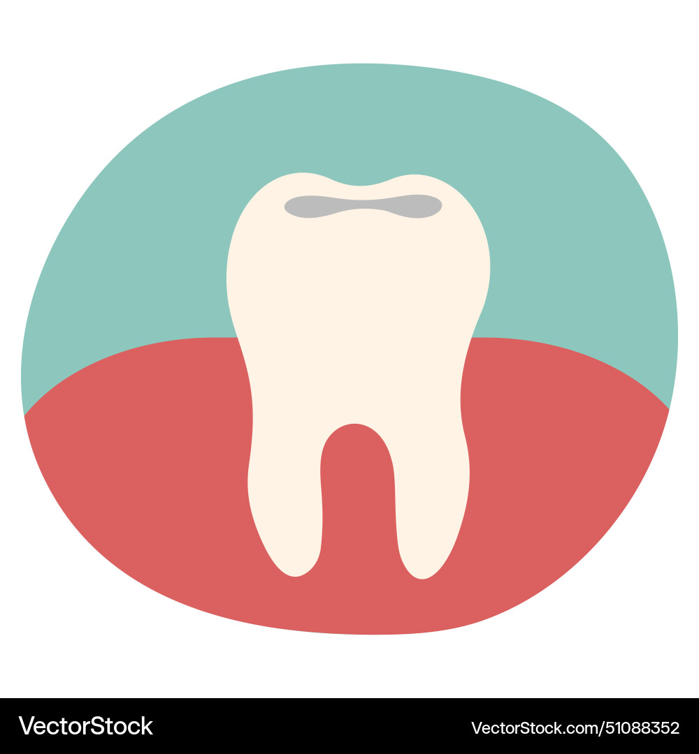 Teeth single 16 Royalty Free Vector Image - VectorStock