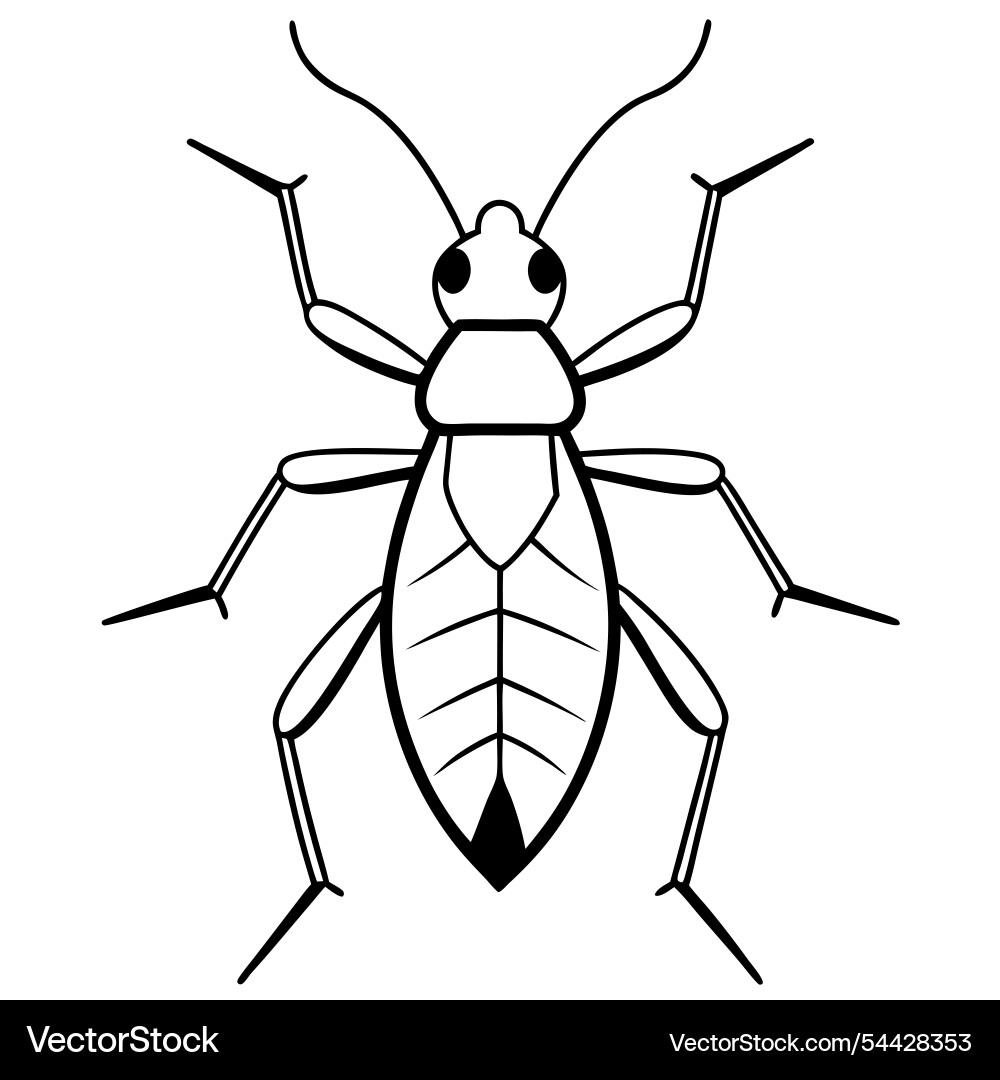 Assassin bug insect flat on white background Vector Image