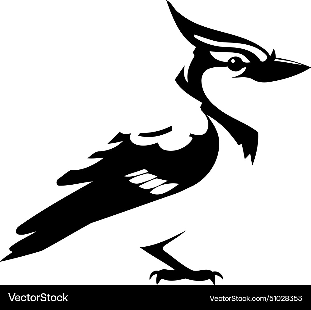 Blue jay bird isolated on a white background Vector Image