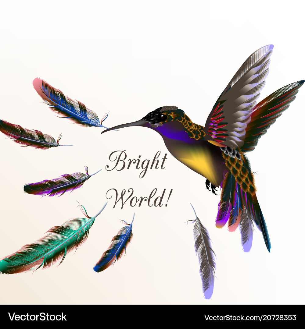 Realistic humming bird for design Royalty Free Vector Image